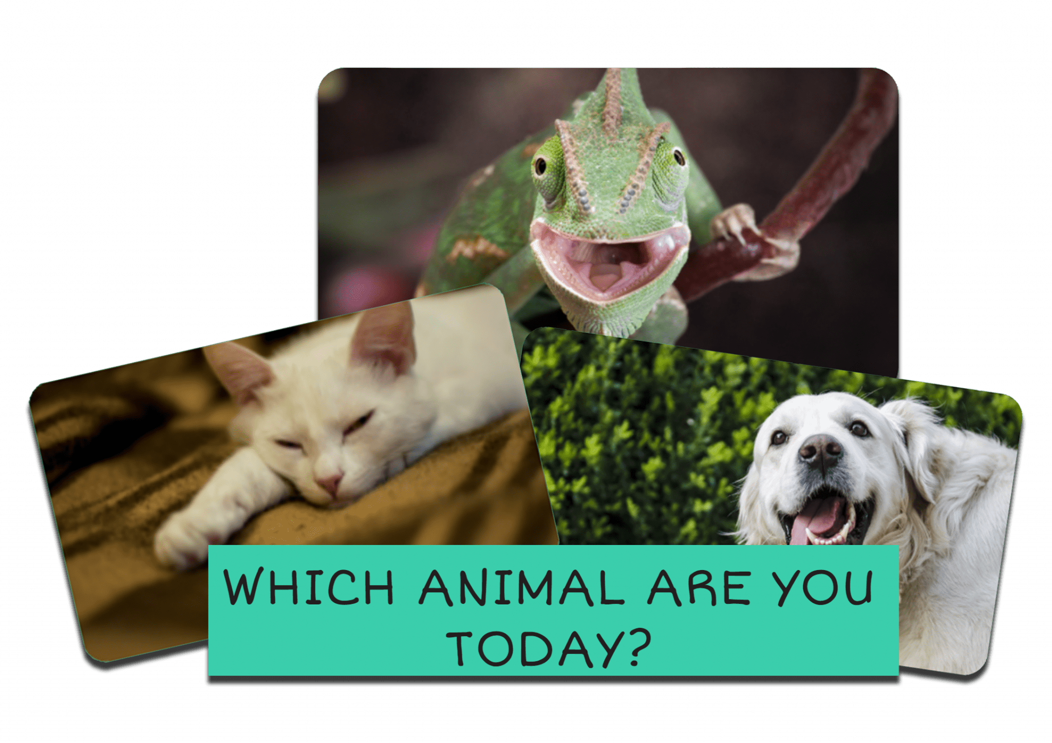 Check-In Activities – Dignity In School